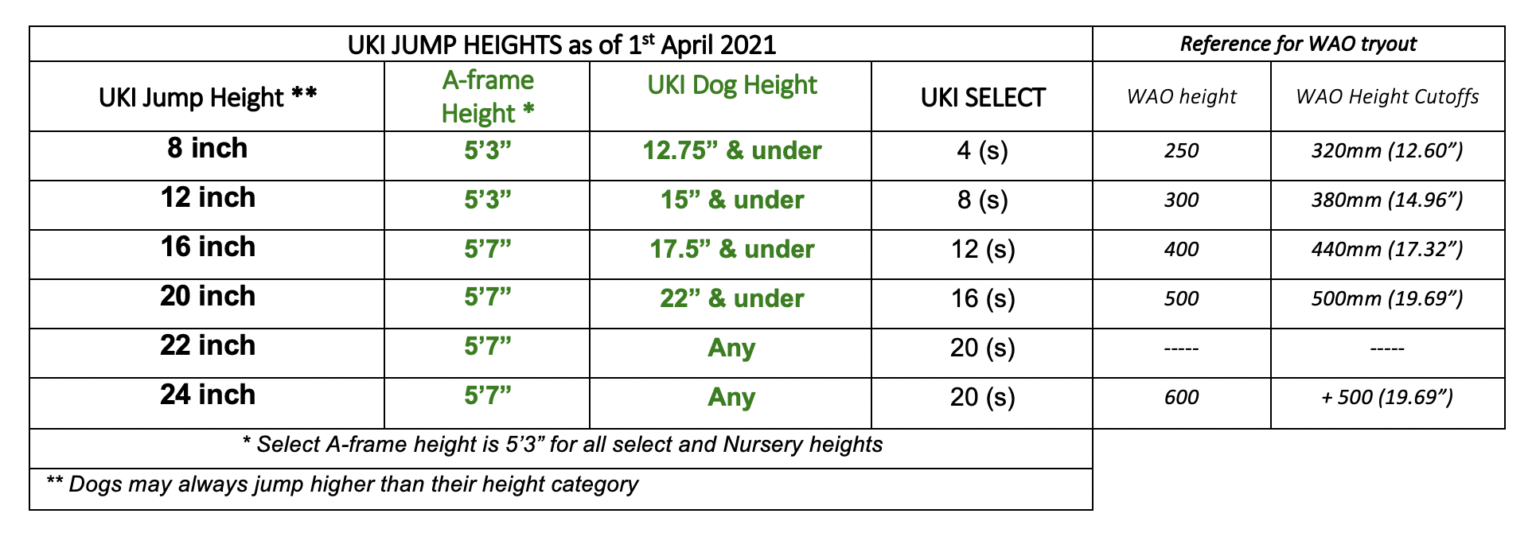 UKI Info | Casa De Canine Agility